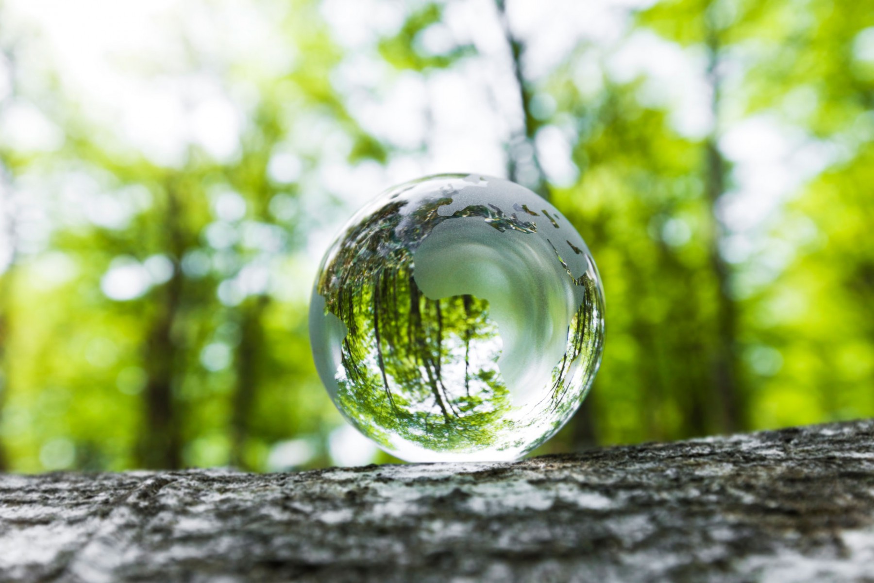 Applications - Antaco